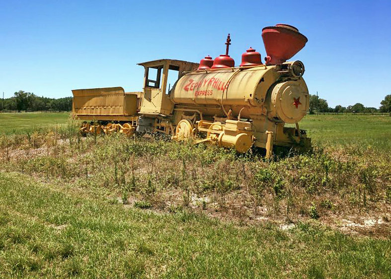The Lowry Park Choo Choo Train Colored Steam Locomotives